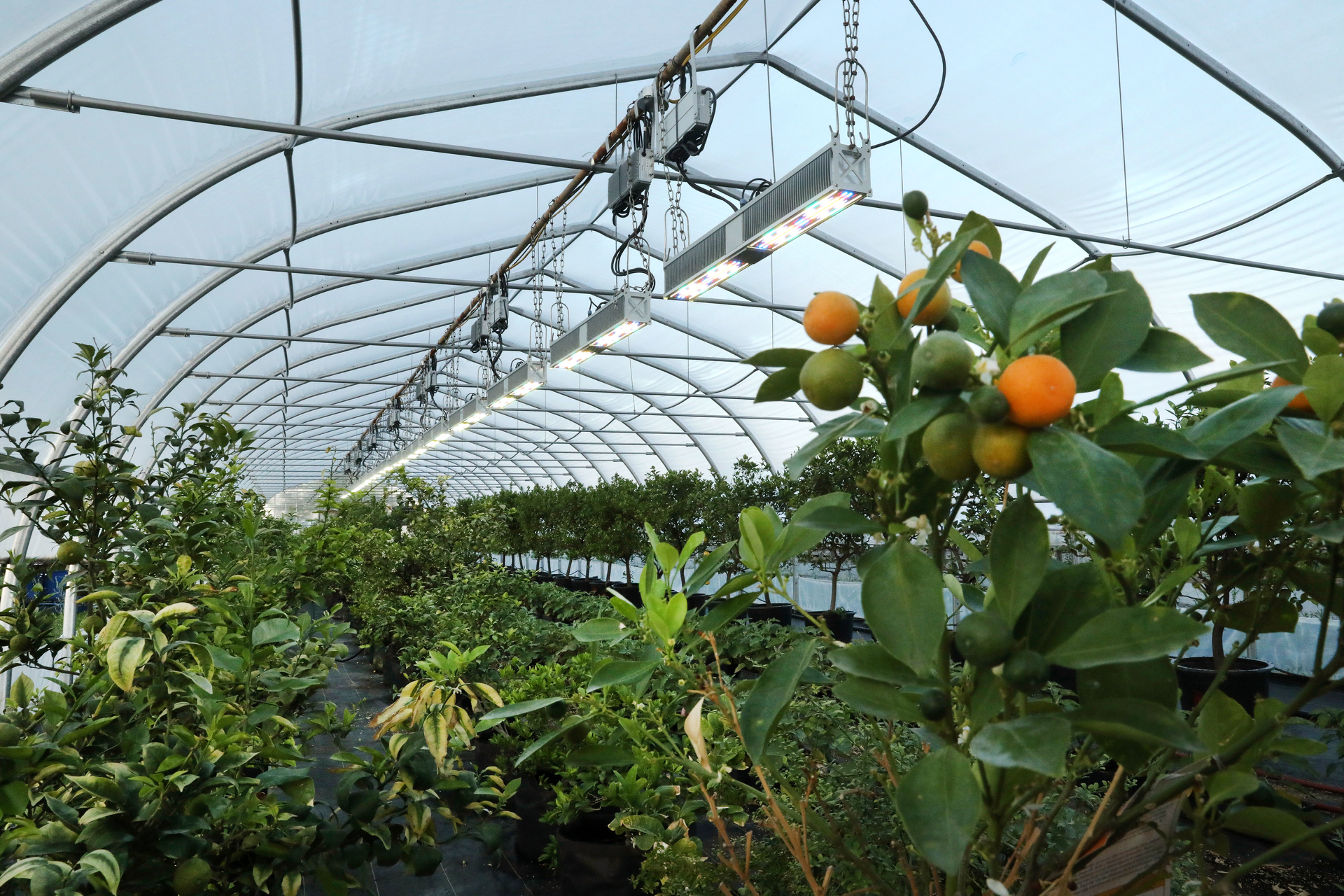 Sollum Technologies receives $3.15M through Technoclimat, closing more ...