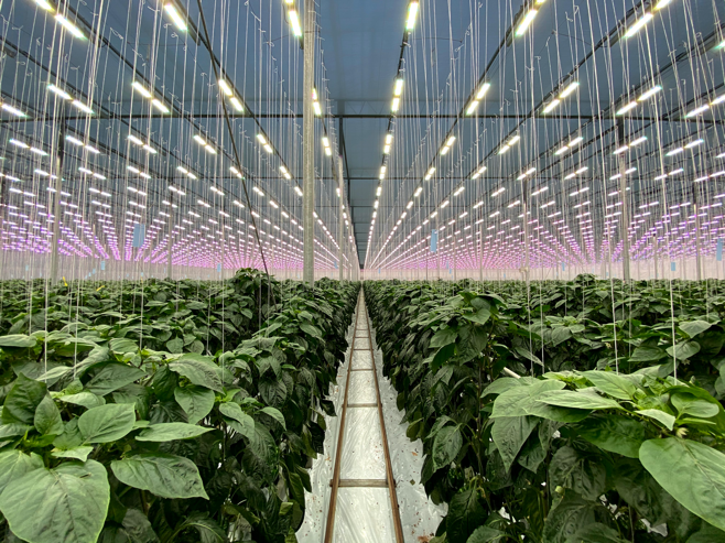 Ecoation and Sollum Technologies sign MOU to explore future ...