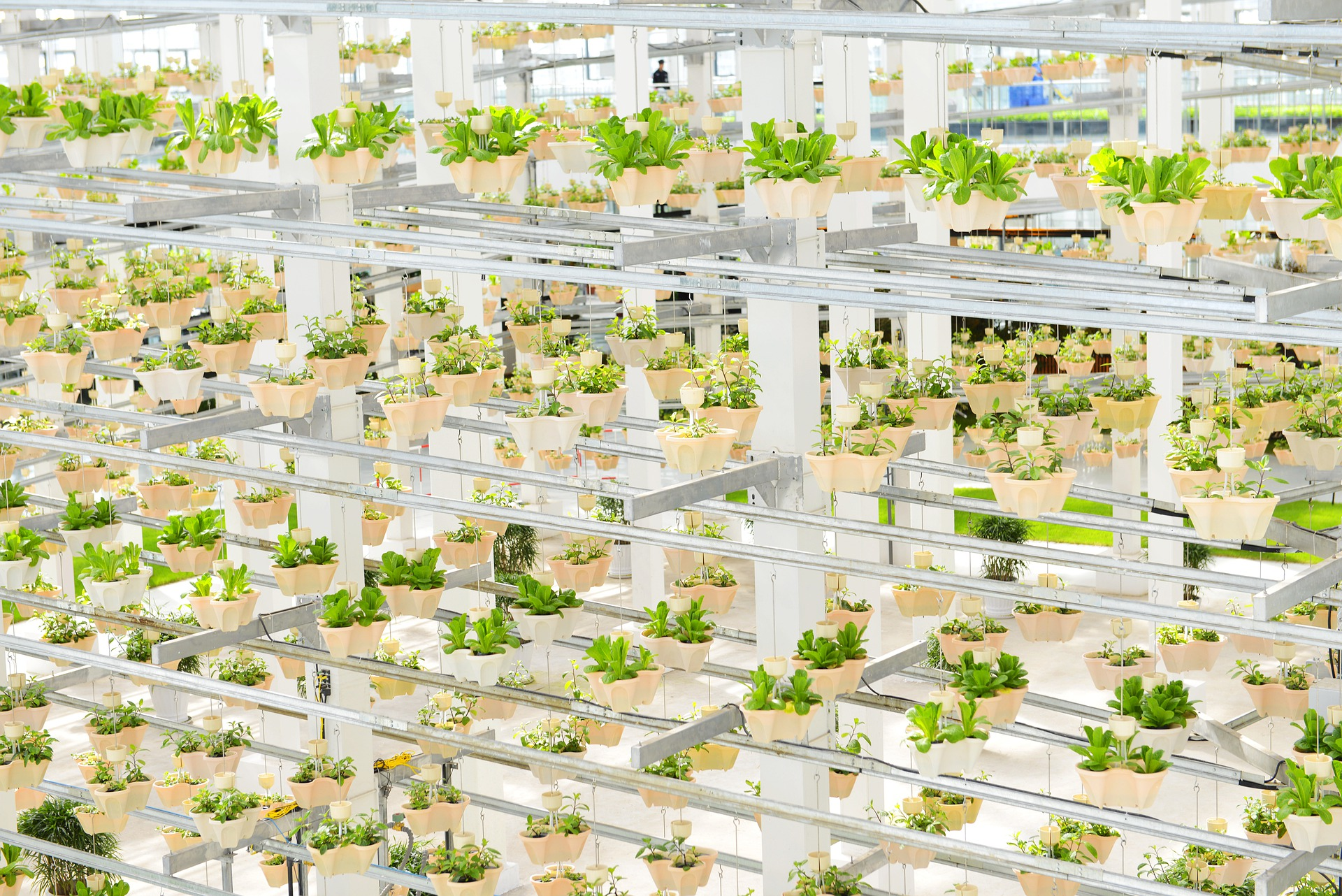 DesignLights Consortium seeks input on v3.0 Horticultural Lighting ...